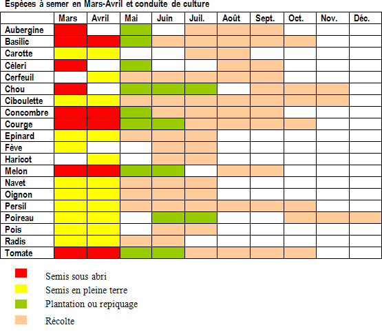 Calendrier de culture : qu'est-ce que c'est et à quoi sert-il
